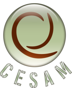 PRAP 2S ALM Prévention des risques liés à l’activité physique sanitaire ...